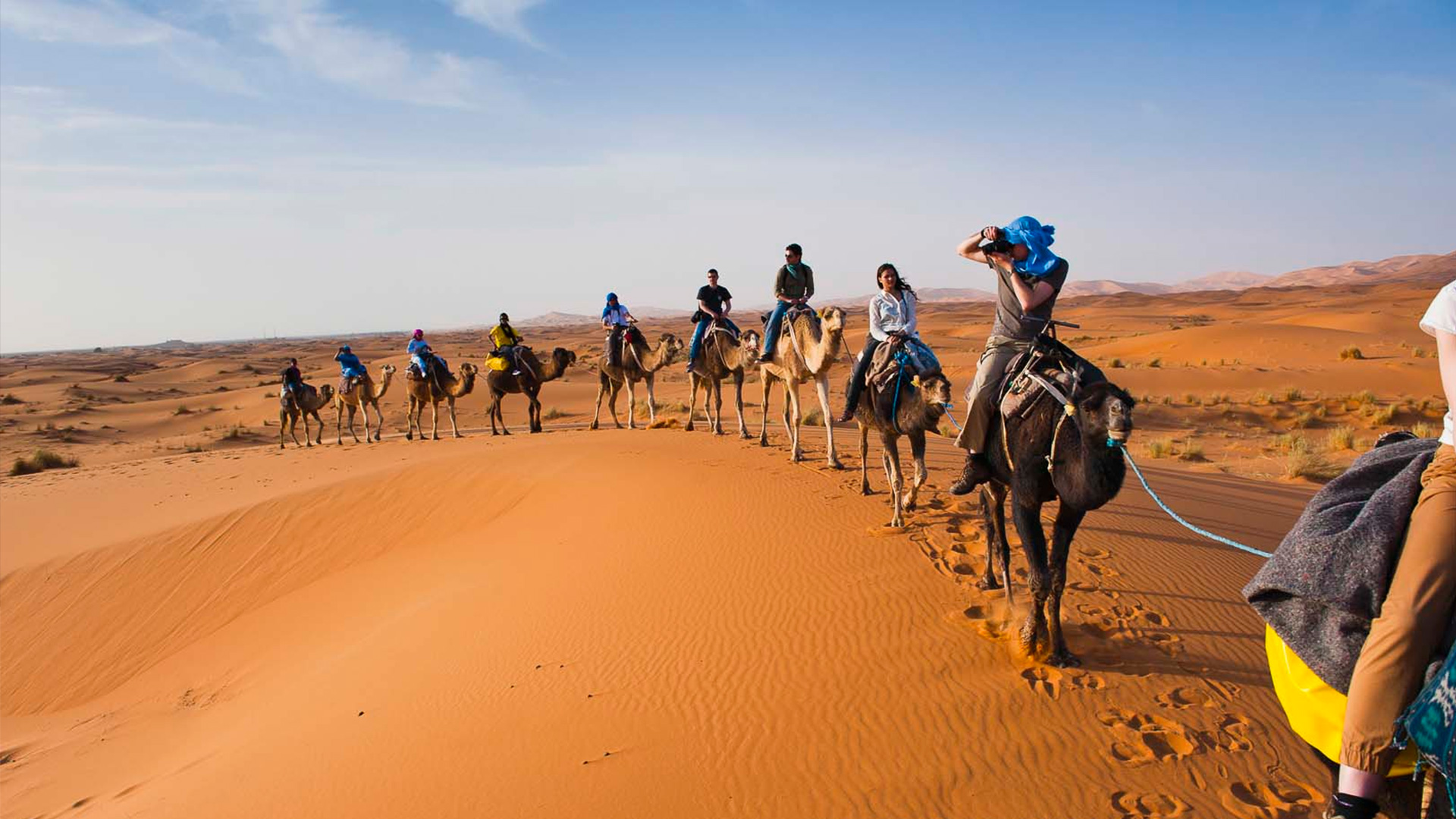 Camel Trekking in Morocco: Why It’s a Must-Try Experience - Wow Morocco ...